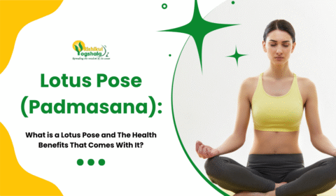 Lotus Pose (Padmasana) – Powerful Guide to Meaning, Steps & 5 Key Benefits