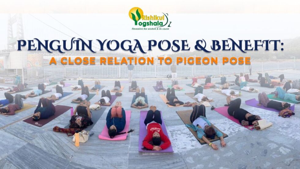 Penguin Yoga Pose: Benefits & How It Relates to Pigeon Pose