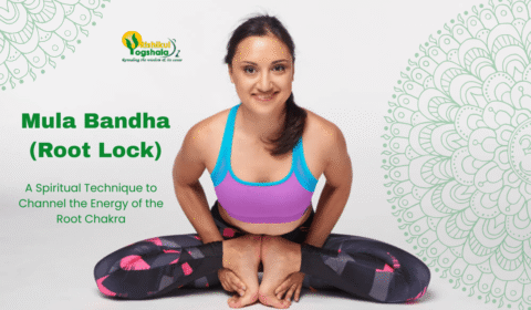 A Guide to Mind, Body, and Spirit: What are The 7 Chakras? | Rishikul ...