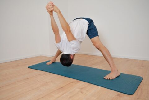 Prasarita Padottanasana Yoga (Intense Leg Stretch Pose)